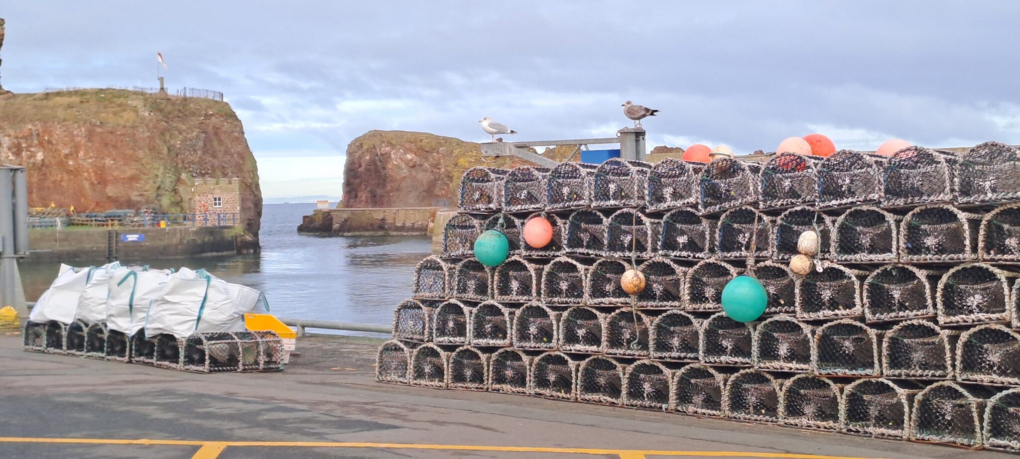 Blog post: PSS visit to Dunbar Harbour - Port Skills & Safety