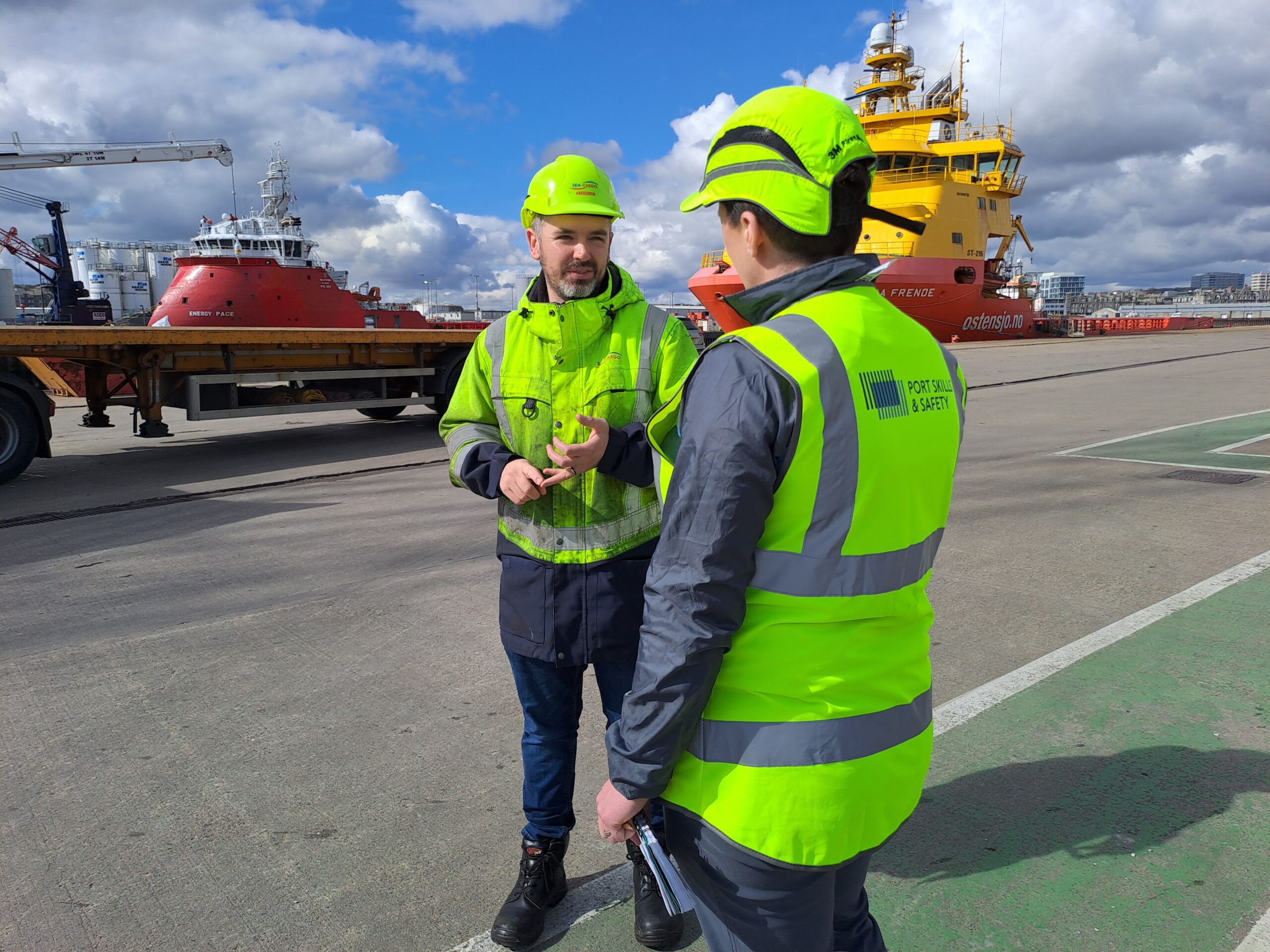 Port HSE audits - Port Skills & Safety